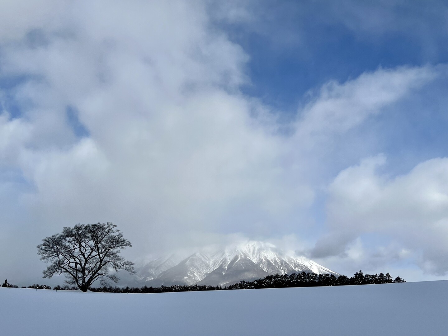 7年ぶりのゲレンデ⛷ hiroさんは身体... / アビィさんのモーメント | YAMAP / ヤマップ