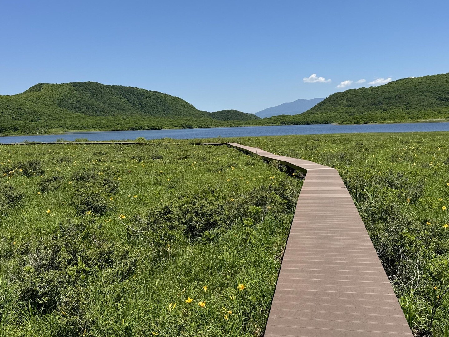 雄国沼 / cobalt さんの磐梯山・雄国山・赤埴山の活動データ | YAMAP / ヤマップ