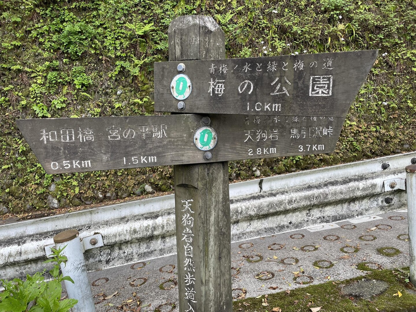 tsk-chaponさんの投稿したフィールドメモ | YAMAP / ヤマップ