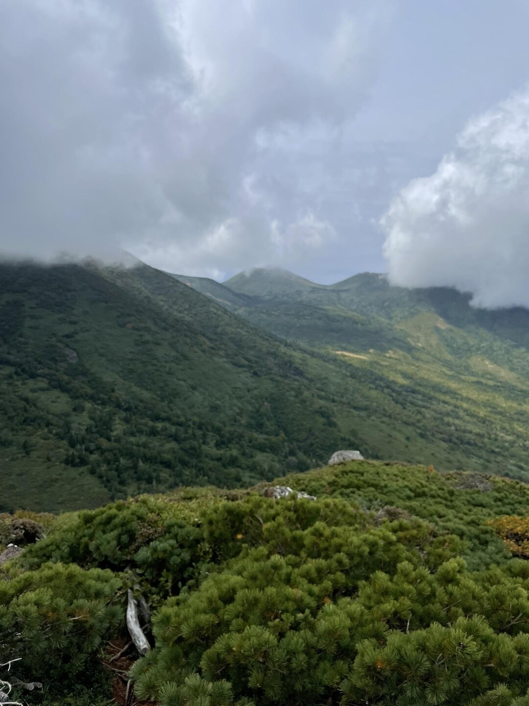 雛岳 / 碧さんの八甲田山・高田大岳・雛岳の活動データ | YAMAP / ヤマップ