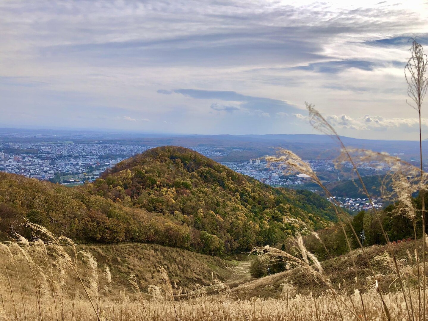 藻岩山 / YONEPさんの藻岩山の活動データ | YAMAP / ヤマップ