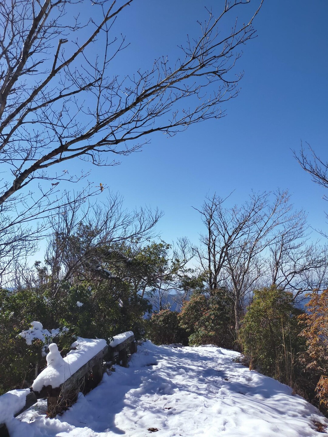 雁俣山 / ryo_kenさんの大金峰・小金峰の活動データ | YAMAP / ヤマップ