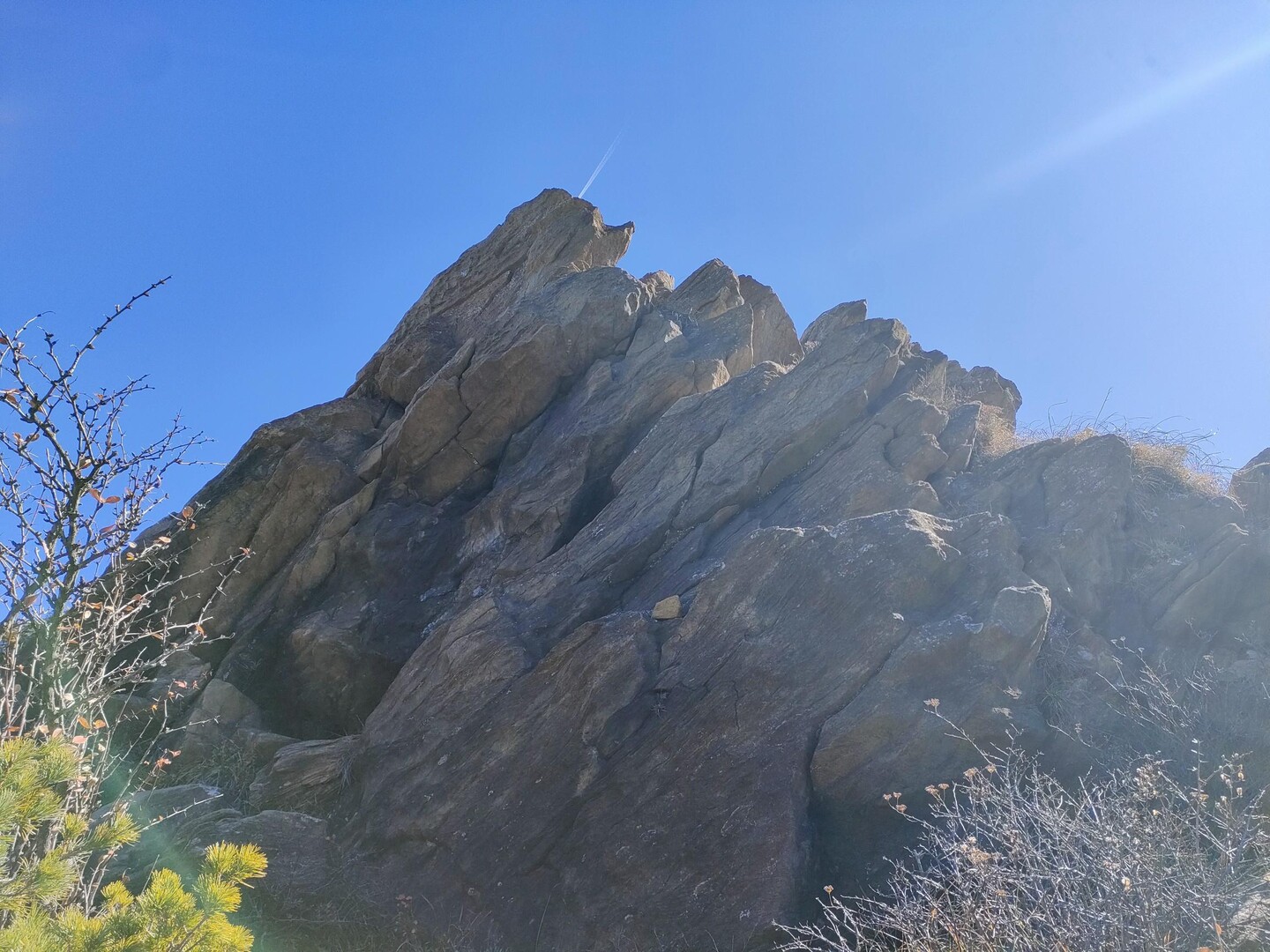 東赤石山・八巻山 / Qooさんの東赤石山・西赤石山・物住頭の活動データ | YAMAP / ヤマップ