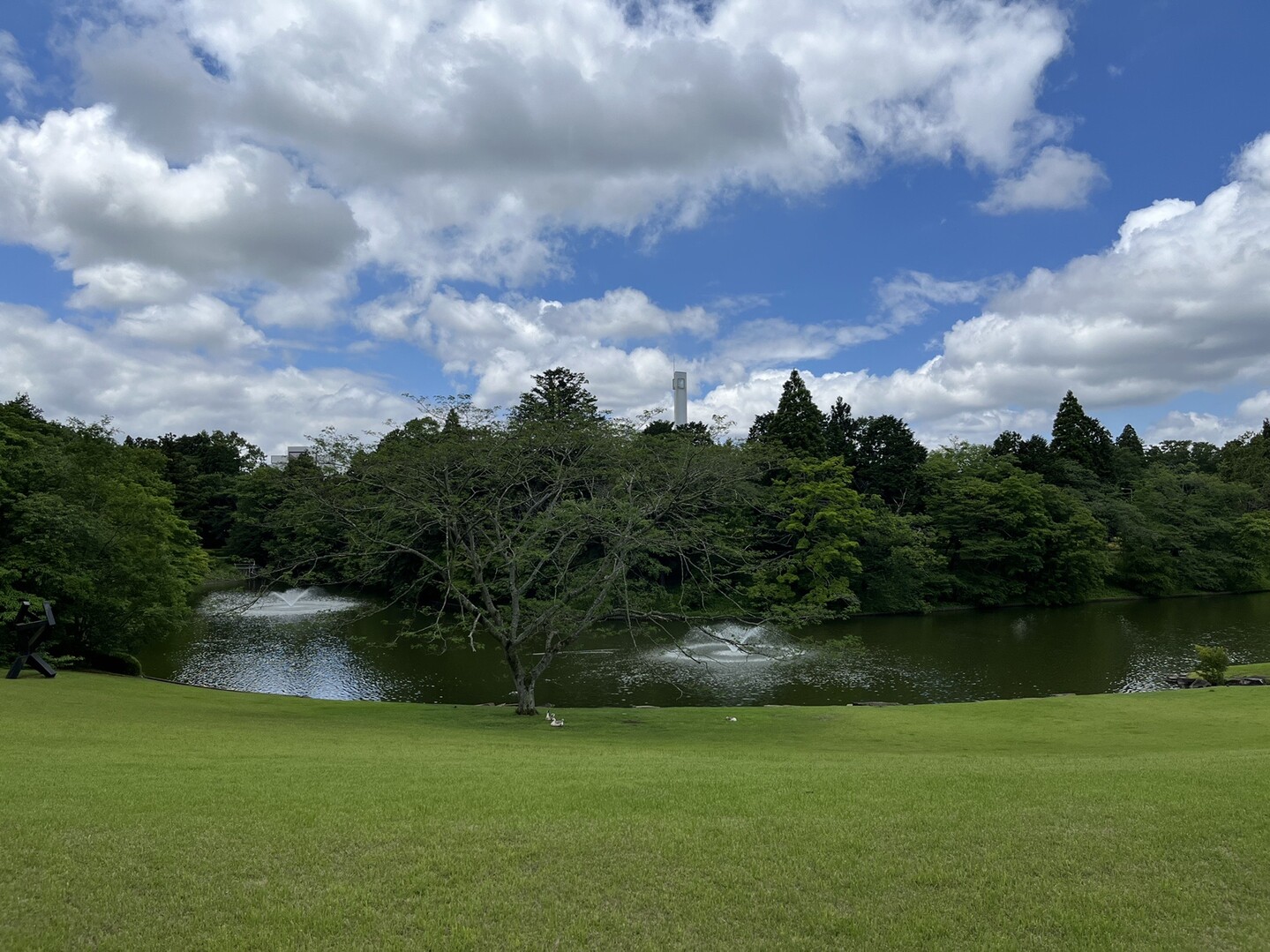 川村美術館散策 / rio121013さんのモーメント | YAMAP / ヤマップ