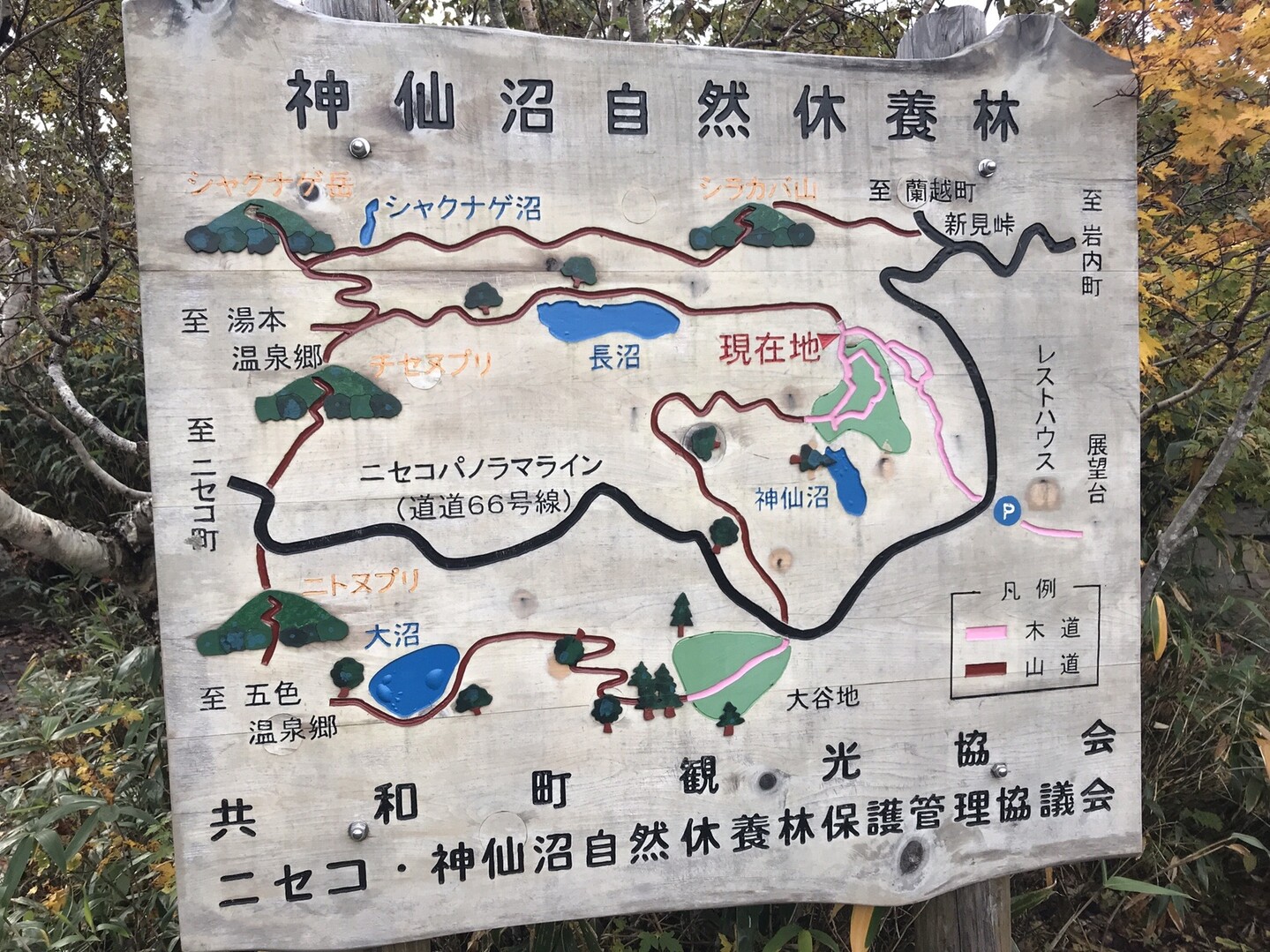 神仙沼散歩-2020-10-07 / absenteさんのウォーキングの活動データ | YAMAP / ヤマップ