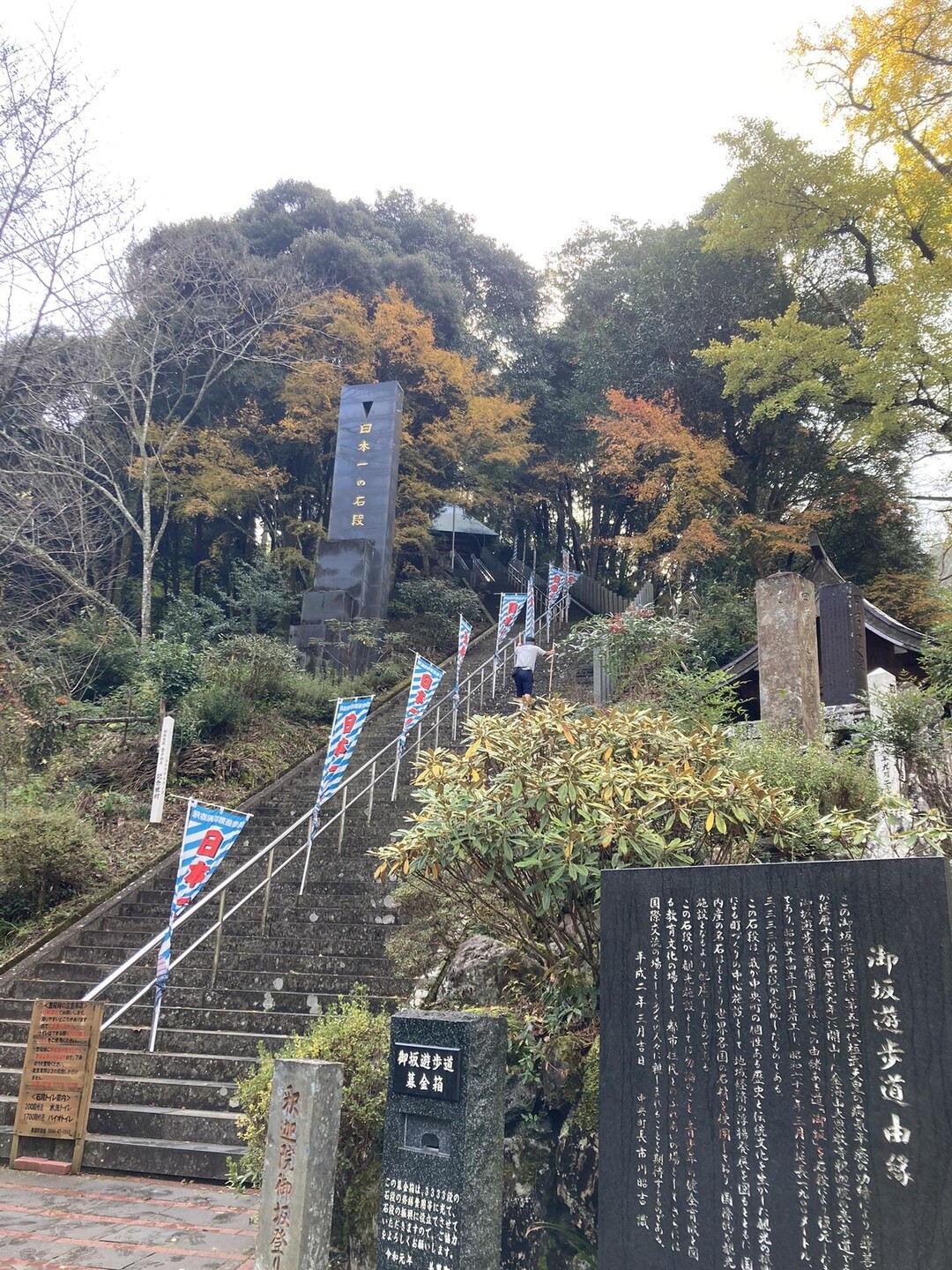 3333段の石段と大行寺山 / カナコさんの大行寺山の活動データ | YAMAP / ヤマップ
