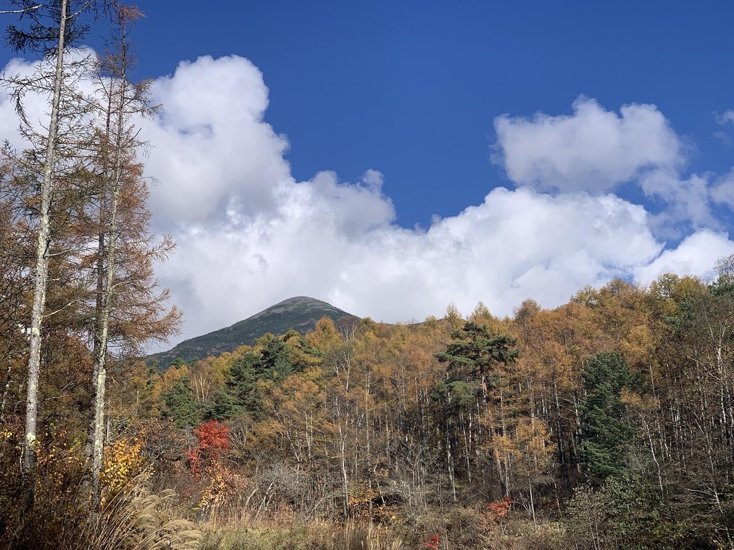 2024-11-06 記憶を記録に変える山旅Vol.30 その頂きを越えて…西岳・編笠山 / たつさんの八ヶ岳（赤岳・硫黄岳・天狗岳）の活動データ | YAMAP / ヤマップ