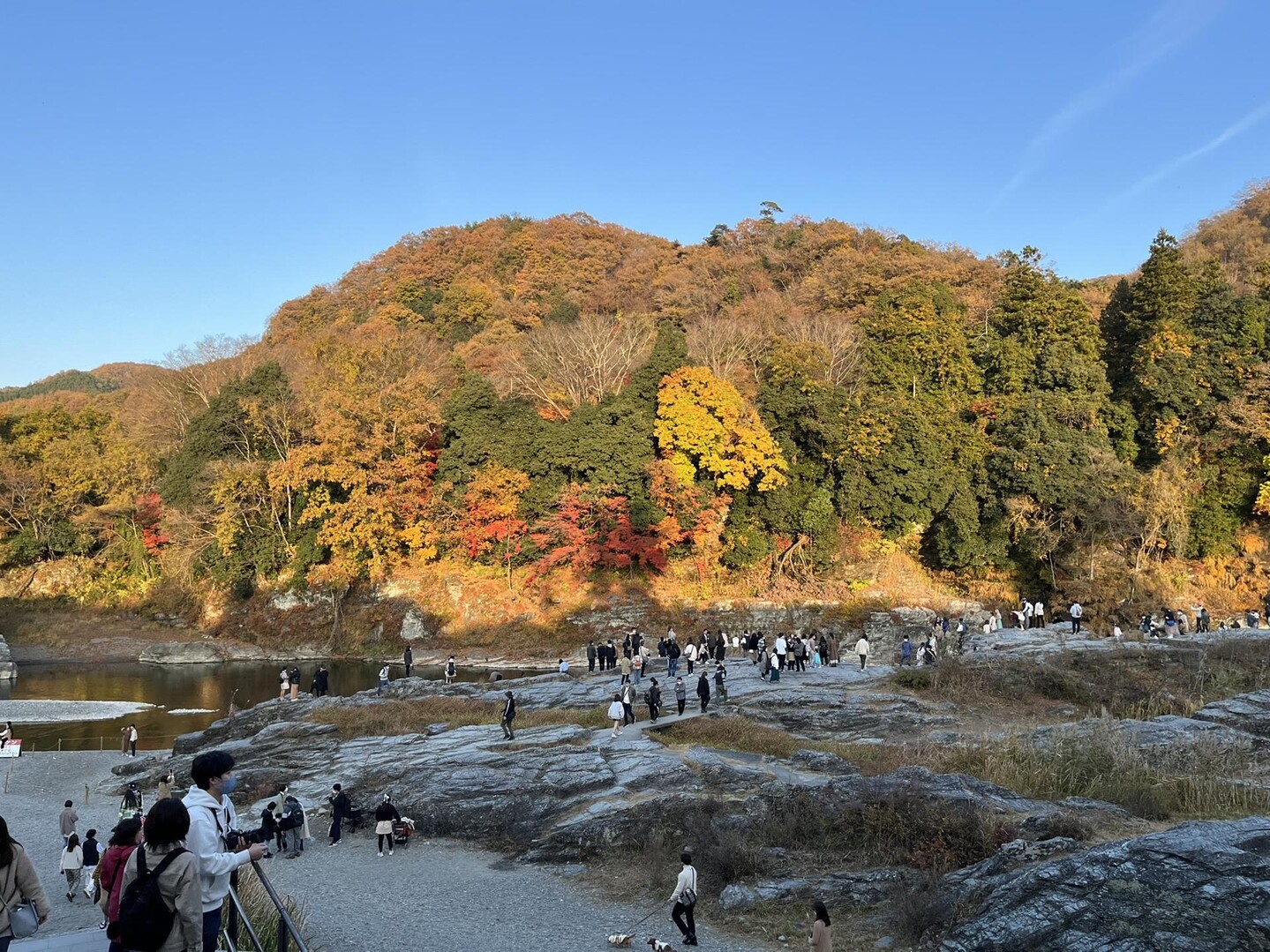 今日は都内の六義園へお散歩に行こうと思っ... / ma-yuさんのモーメント | YAMAP / ヤマップ