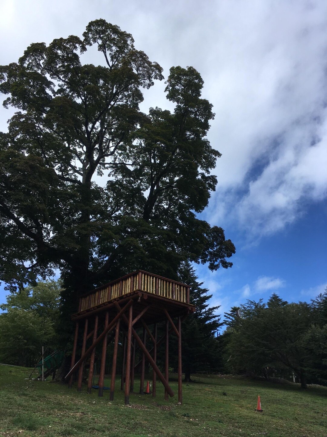 日本岳・小普賢岳・大普賢岳 / chica de montañaさんの観音峯山・大普賢岳・山上ヶ岳・稲村ヶ岳の活動データ | YAMAP / ヤマップ