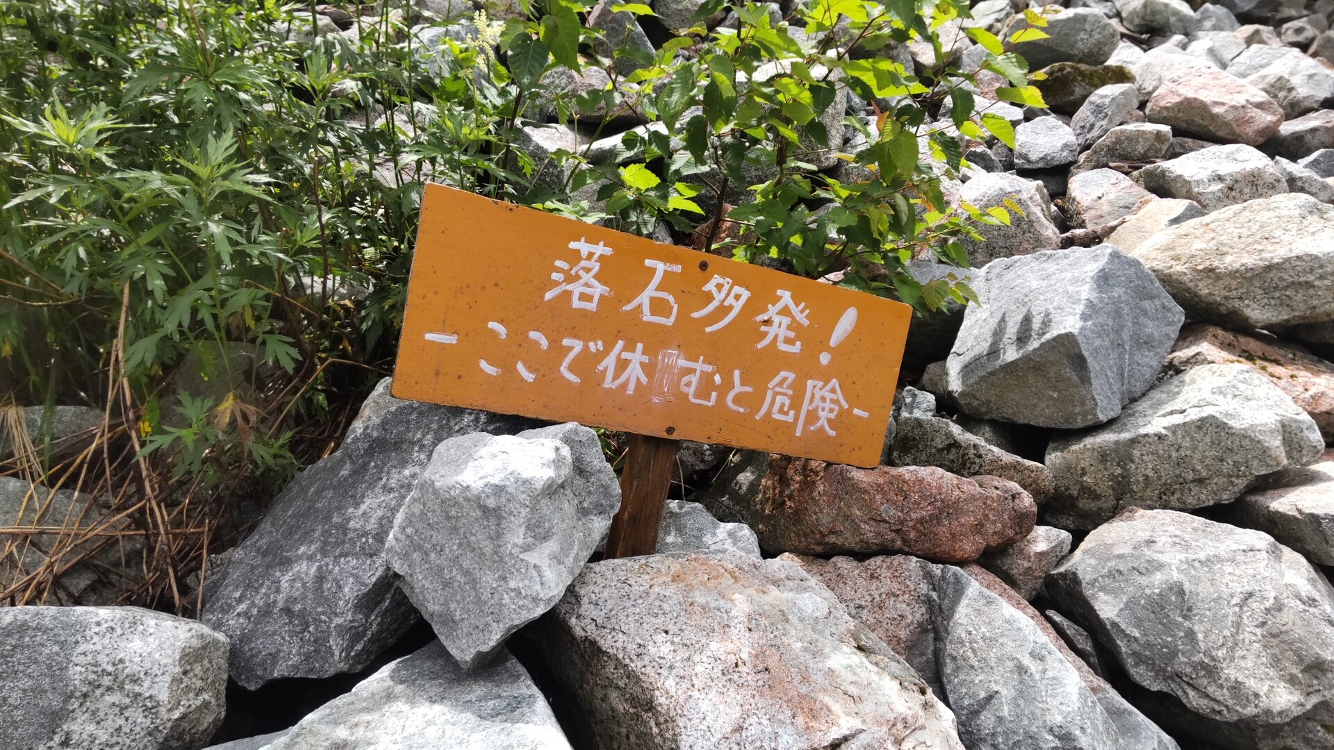 Enzouさんの投稿したフィールドメモ | YAMAP / ヤマップ