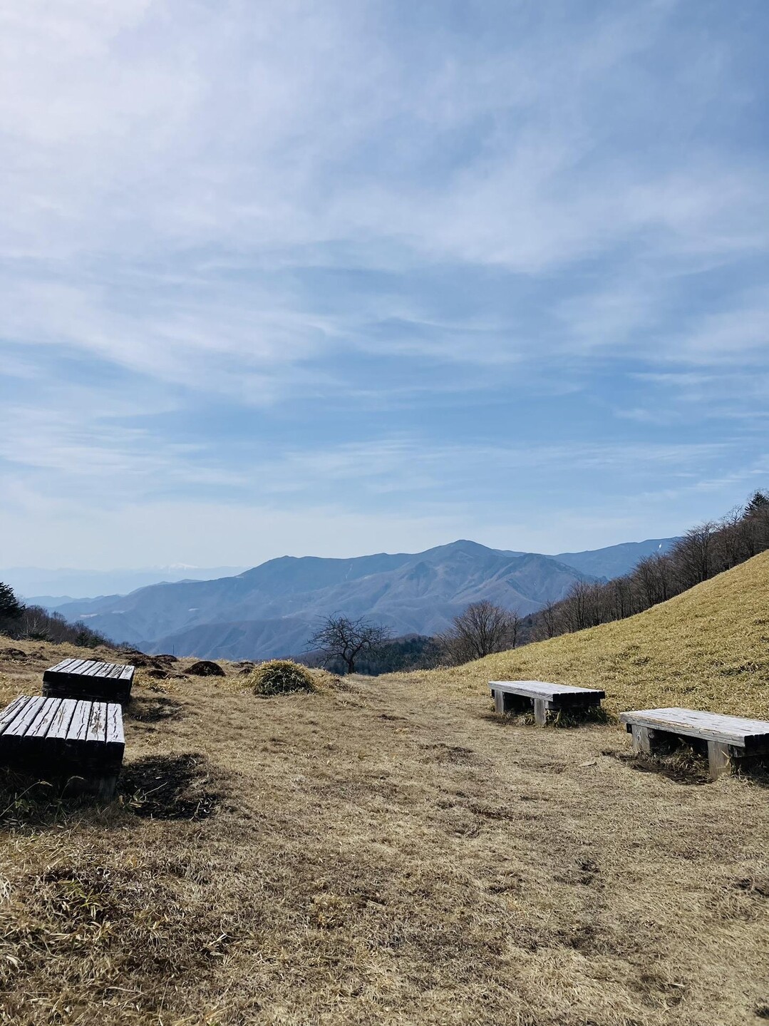 笠取山 / tykmktさんの和名倉山・笠取山・東仙波の活動データ | YAMAP / ヤマップ