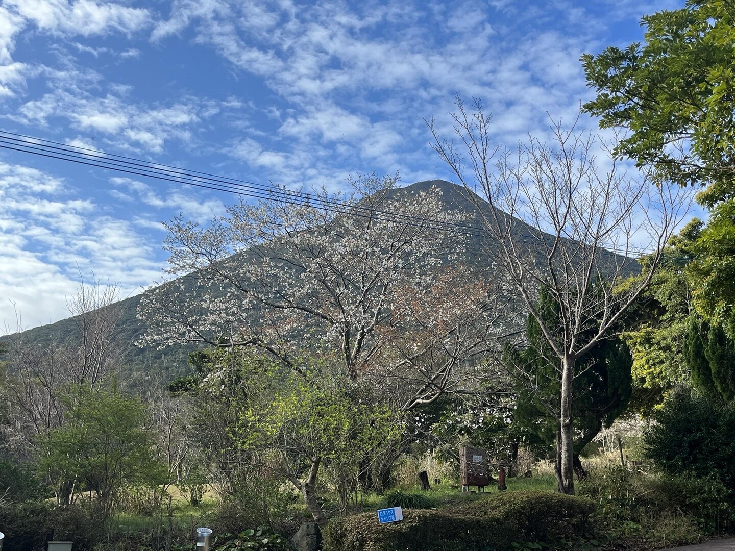 春の開聞岳🌸 / chiitaさんの開聞岳の活動データ | YAMAP / ヤマップ