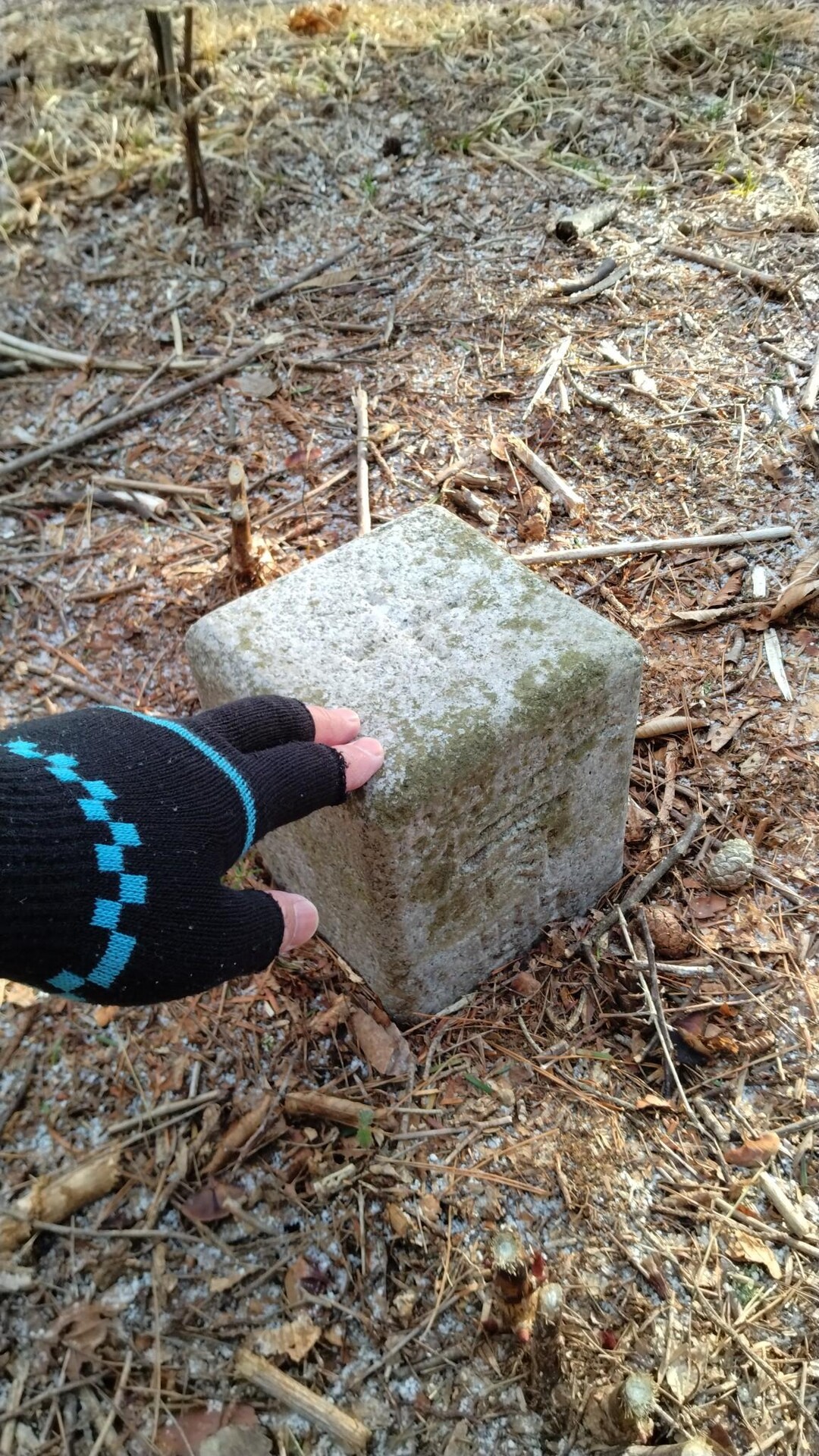 五社山 / type52さんの二ッ箭山・三森山・猫鳴山の活動データ | YAMAP / ヤマップ