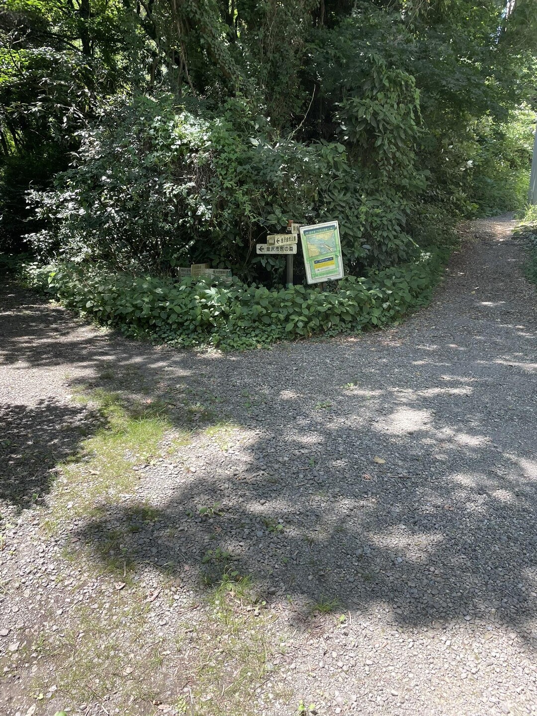 s06007さんの投稿したフィールドメモ | YAMAP / ヤマップ