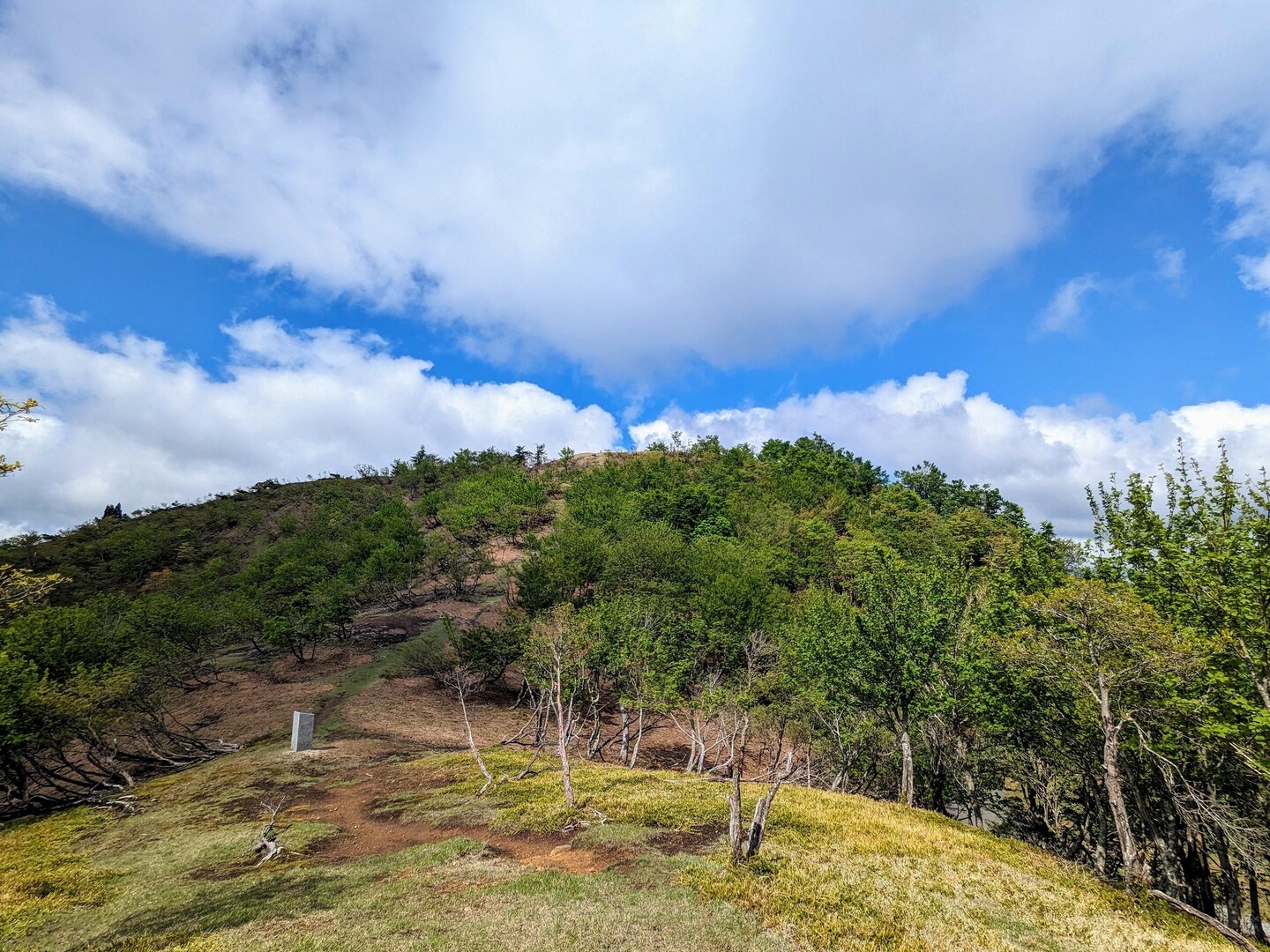 😄蘇武岳💦関西百名山#97 / "satoh"さんの蘇武岳の活動データ | YAMAP / ヤマップ