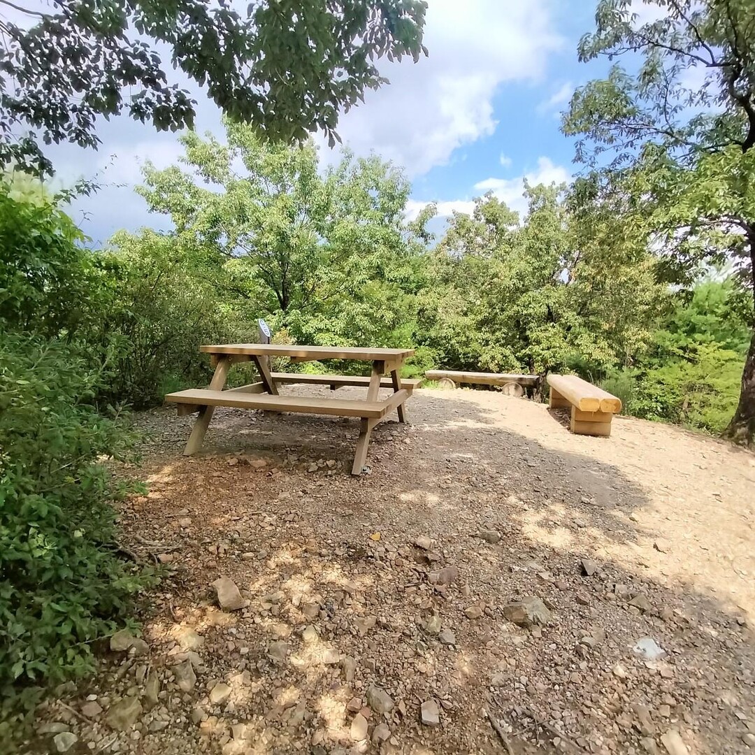 百々ヶ峰 古津ふれあいの森から / PUKUDX ぷくでらっくす・すーぱーすろうさんの百々ヶ峰・源太峰の活動データ | YAMAP / ヤマップ