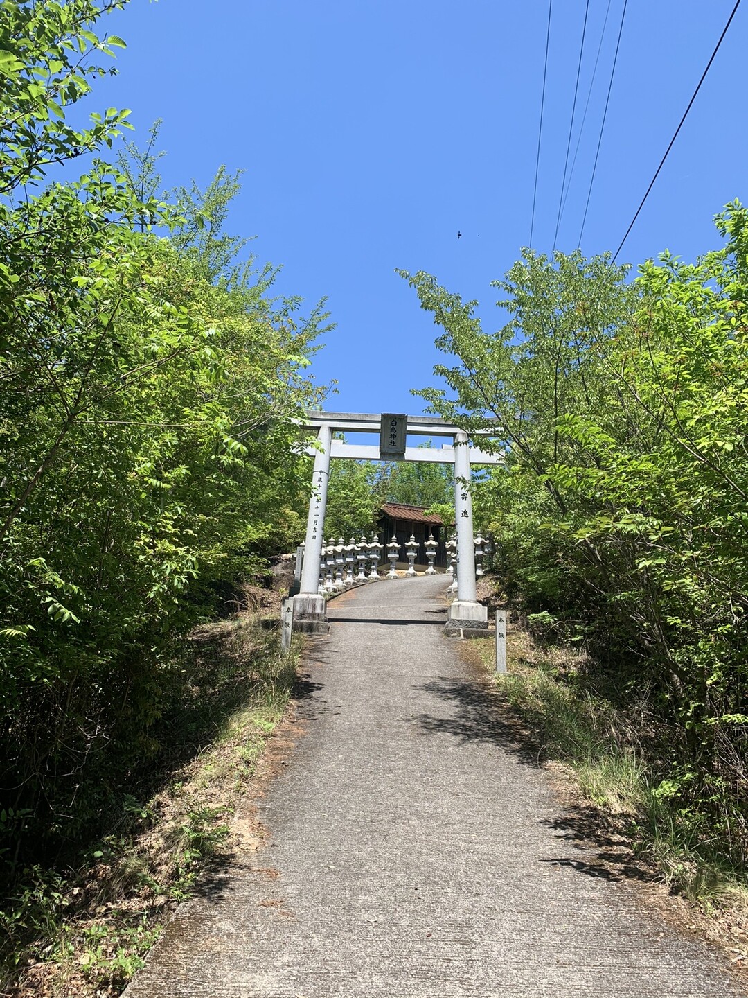 白鳥山🚗 / mirereさんの白鳥山・馬ヶ背・畠山の活動データ | YAMAP / ヤマップ