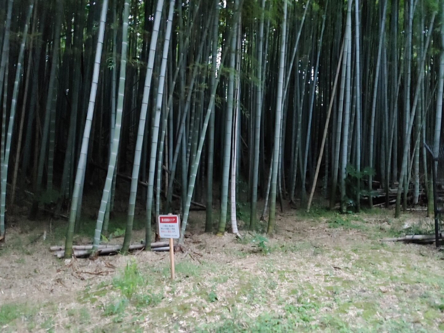 Keiさんの投稿したフィールドメモ | YAMAP / ヤマップ