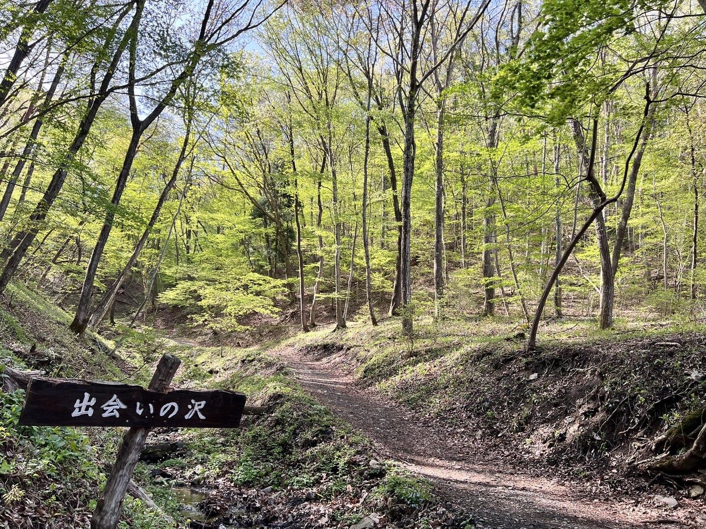 天狗山 / ymatさんの天狗山の活動データ | YAMAP / ヤマップ