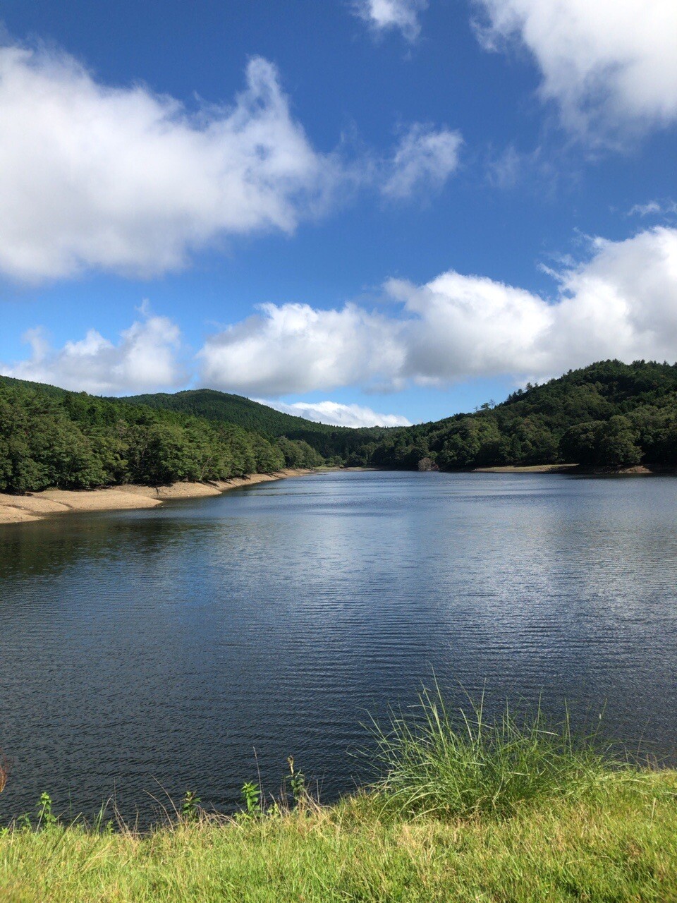 布引山地・霊山 田代池 周回HK / SAGさんの霊山・西教山の活動日記 | YAMAP / ヤマップ