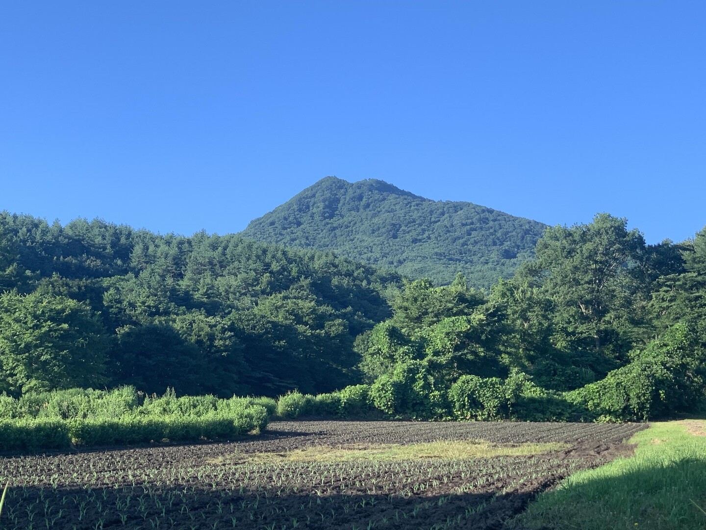 R5.7.29 久慈平岳 / あおかつさんの久慈平岳の活動データ | YAMAP / ヤマップ
