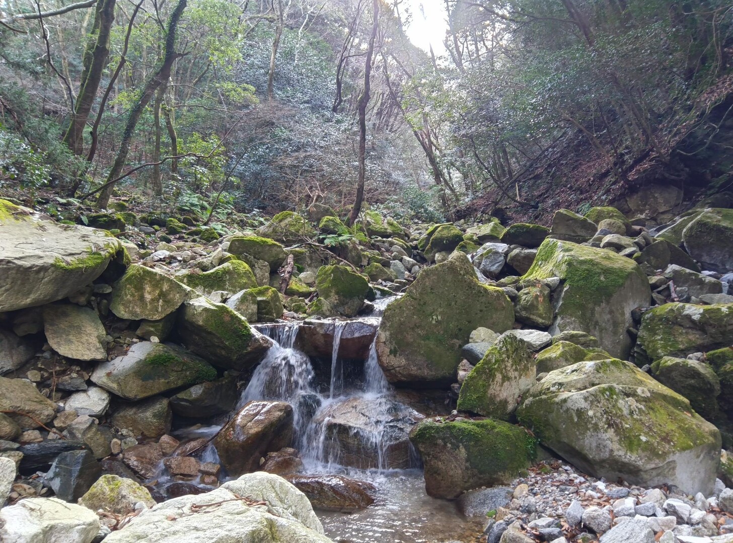 脊振山・唐人の舞・鬼ヶ鼻岩 / Tsuruさんの脊振山・金山の活動データ | YAMAP / ヤマップ