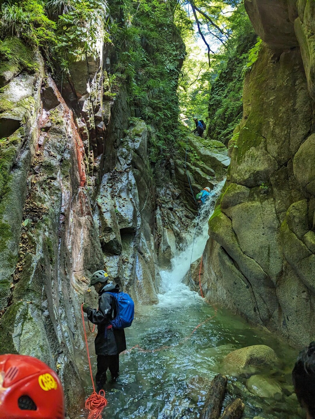 西丹沢小川谷 沢登り教室 / j-saitohさんの塔ノ岳・丹沢山・蛭ヶ岳の活動データ | YAMAP / ヤマップ