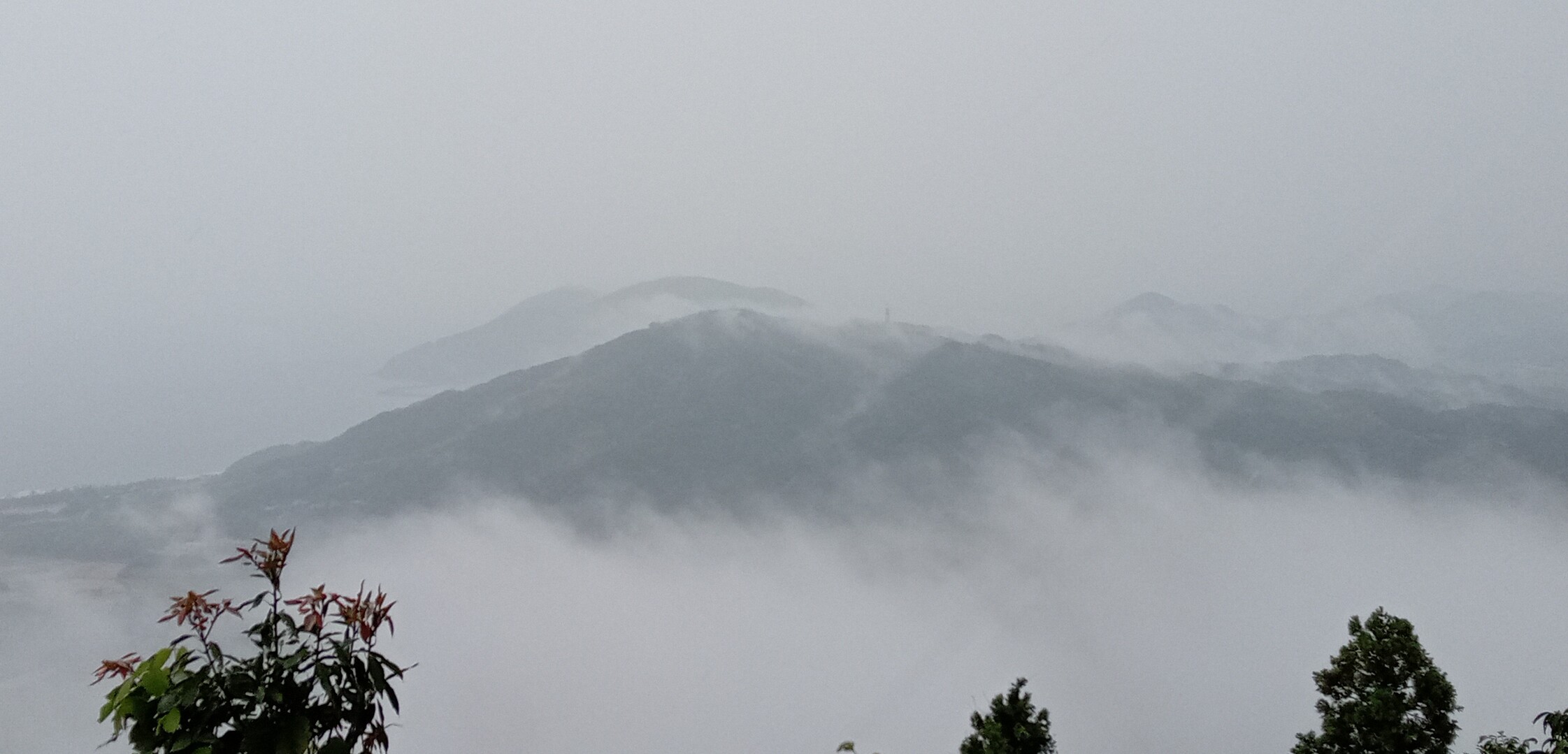 雨の可也山 / hacoさんの可也山の活動データ | YAMAP / ヤマップ