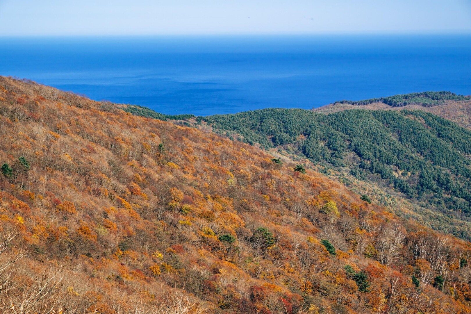 大びらき・階上岳・南岳・つくし森 / masakiyo77さんの階上岳（種市岳・臥牛山）・久慈平岳の活動データ | YAMAP / ヤマップ