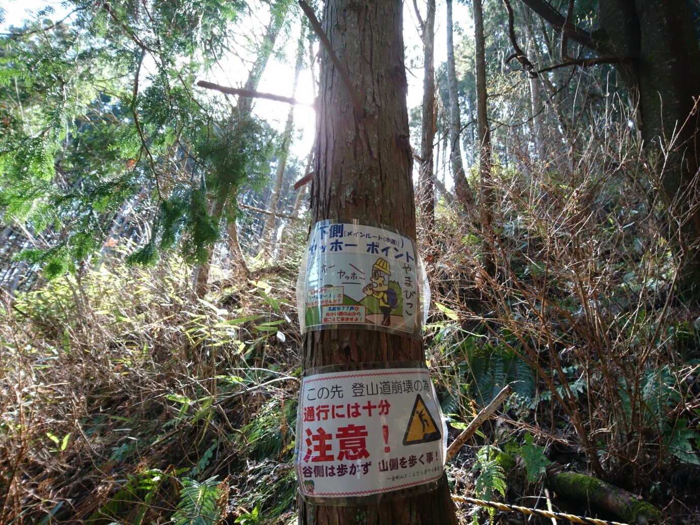 do-kichiさんの投稿したフィールドメモ | YAMAP / ヤマップ