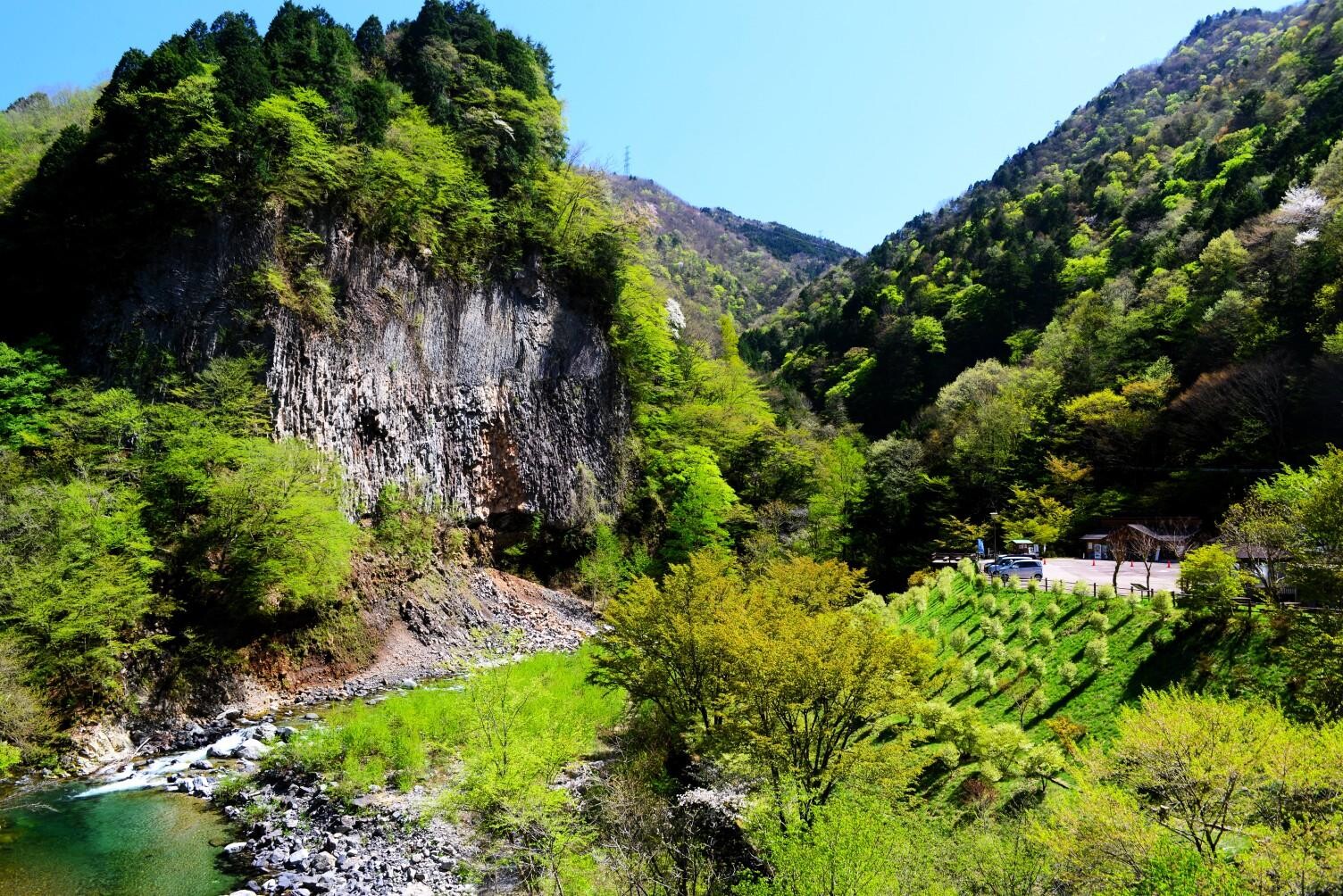 4月25日のがんだて公園は、新緑真っ盛り... / kikuさんのモーメント | YAMAP / ヤマップ