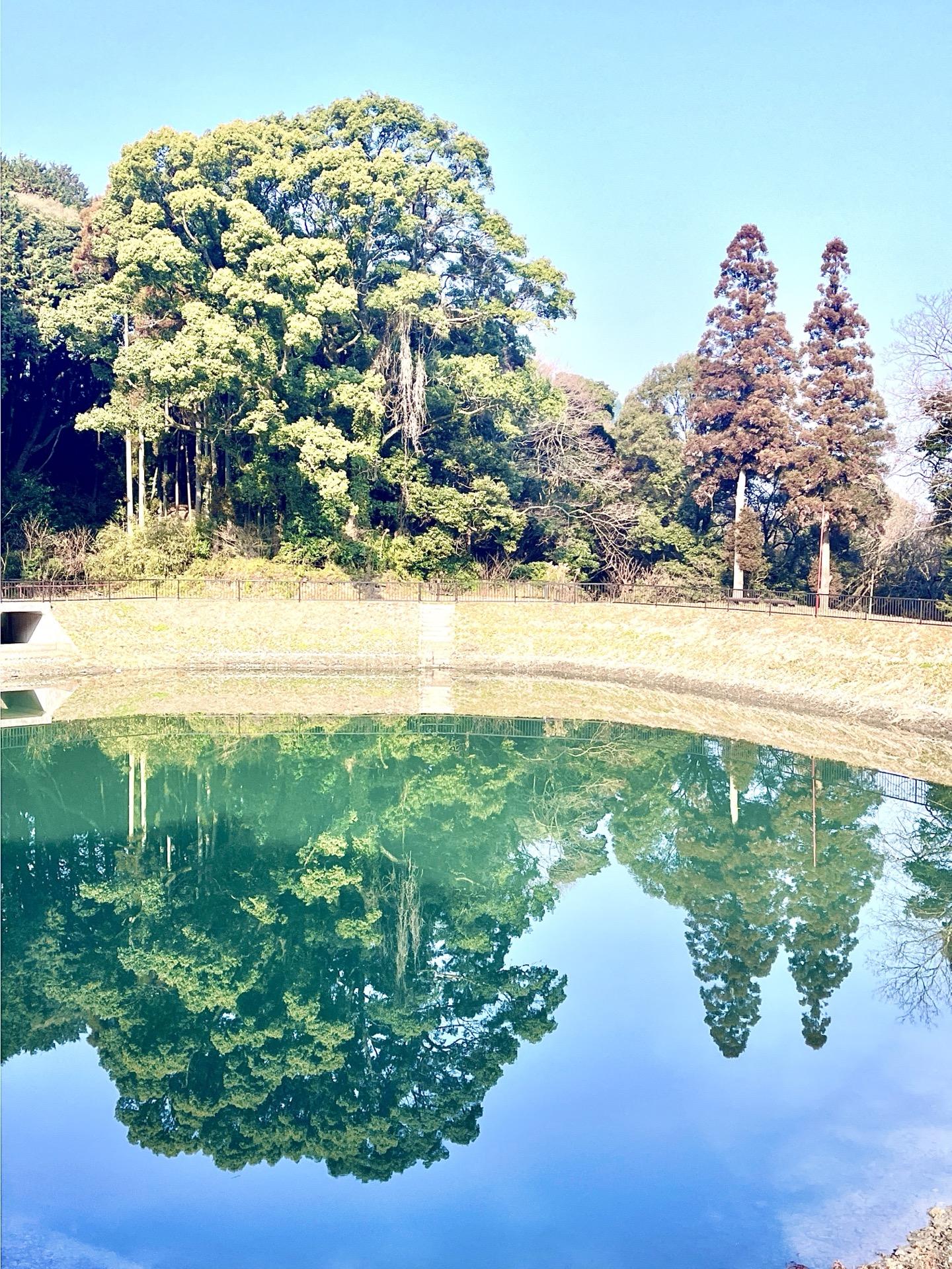 久留米大学前駅-御井町バス停-高良山-高良大社-妙見神社- 縦走コースの地図・登山ルート・登山口情報 | YAMAP / ヤマップ