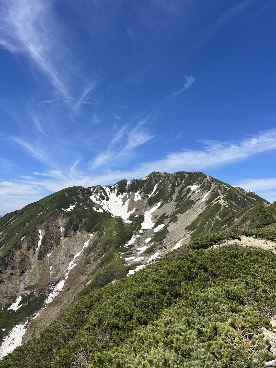 仙丈ヶ岳 南アルプスの女王 / Fisherマンさんの仙丈ヶ岳・伊那荒倉岳の活動日記 | YAMAP / ヤマップ
