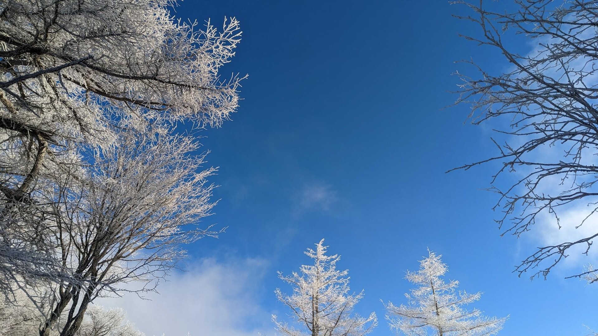 水ノ塔山・東篭ノ登山 / celorinさんの浅間山・黒斑山・篭ノ登山の活動データ | YAMAP / ヤマップ