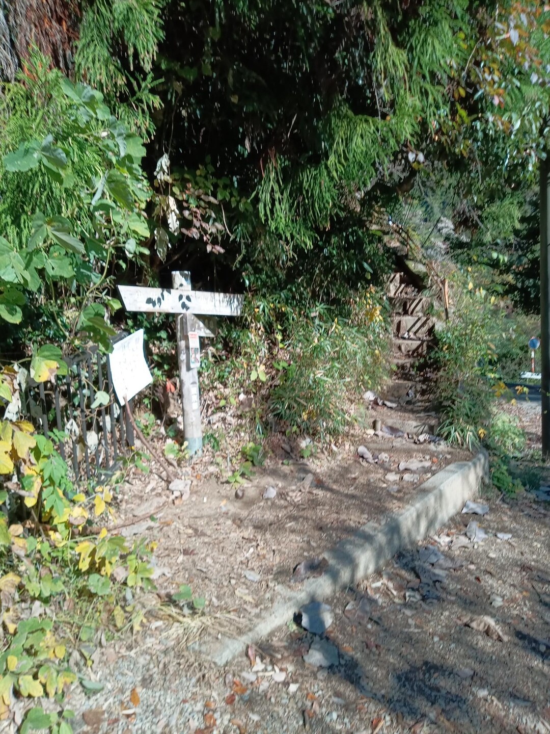 景信山 / yukkyさんの高尾山・陣馬山・景信山の活動データ | YAMAP / ヤマップ