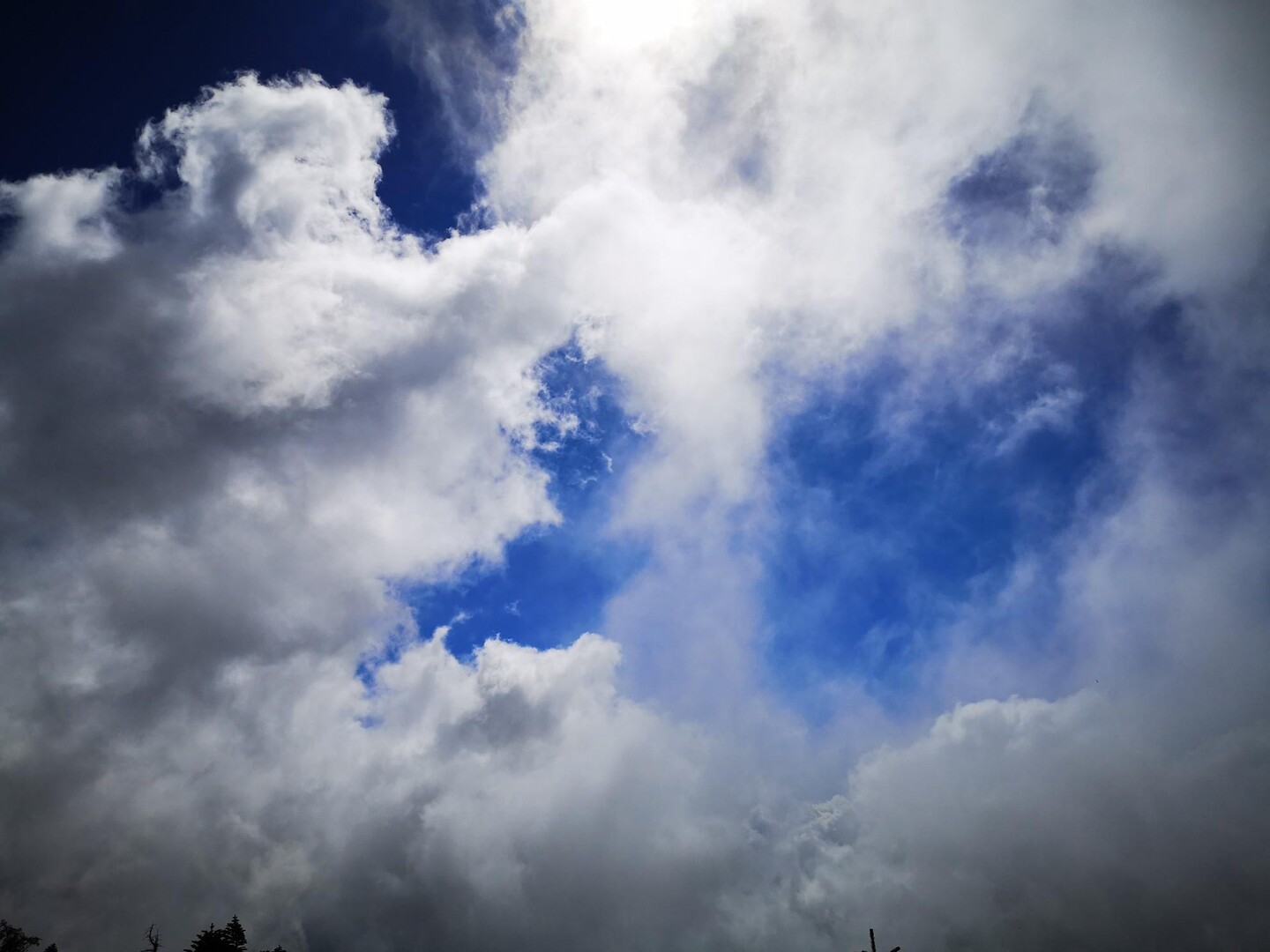 momotanのページ | YAMAP / ヤマップ