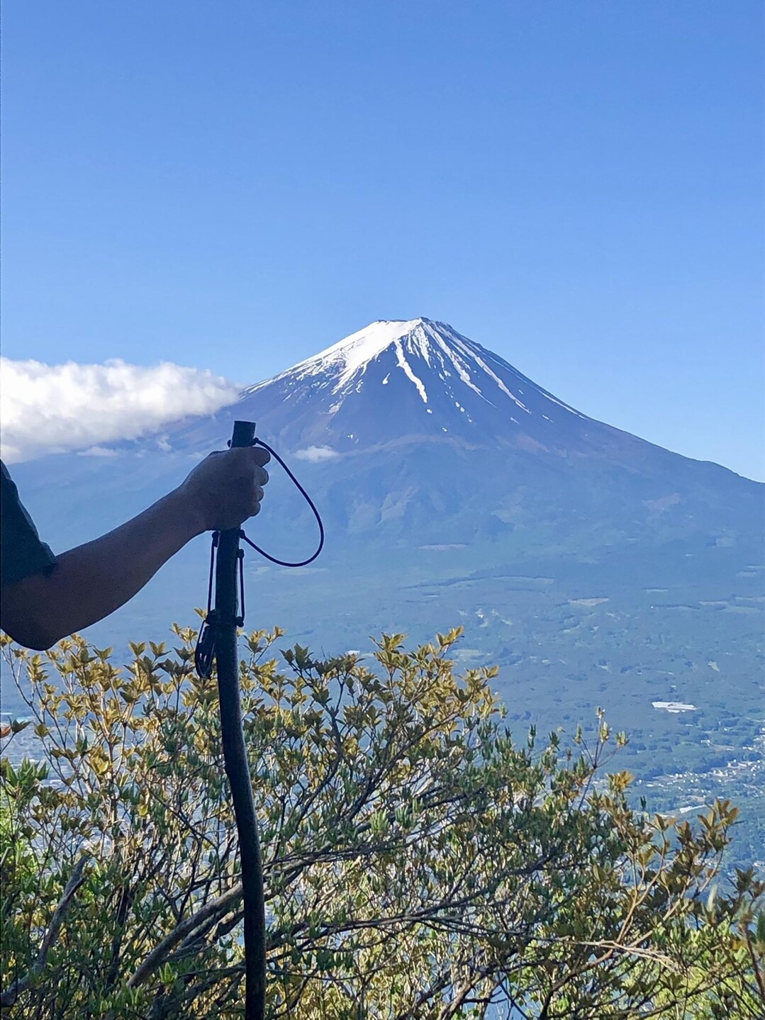 すずらんが見頃なので 黒岳 / IMOさんの釈迦ヶ岳・大栃山の活動日記 | YAMAP / ヤマップ