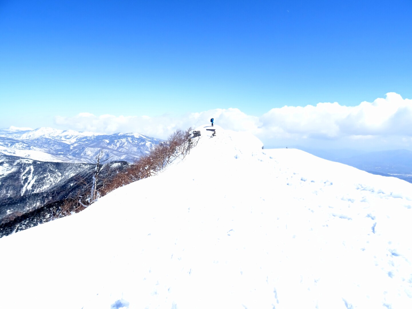 四阿山 / nm25さんの四阿山・根子岳の活動データ | YAMAP / ヤマップ