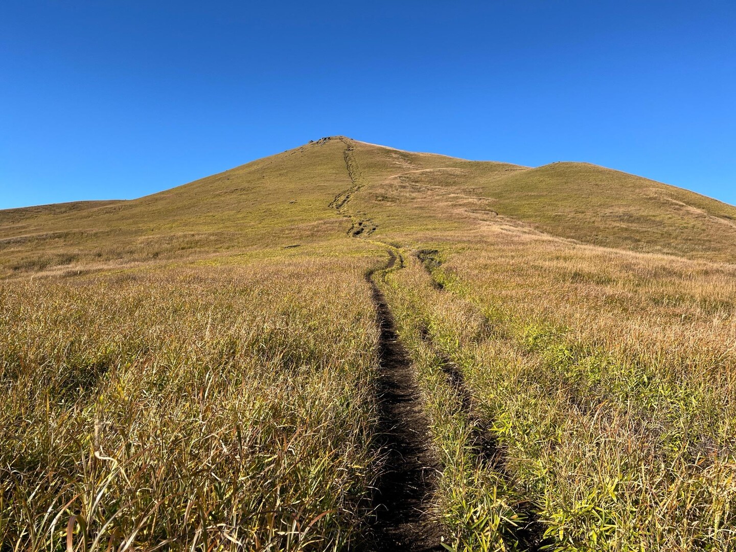 一目山・みそこぶし山・女岳・涌蓋山 / Rieさんの涌蓋山・猟師山の活動データ | YAMAP / ヤマップ