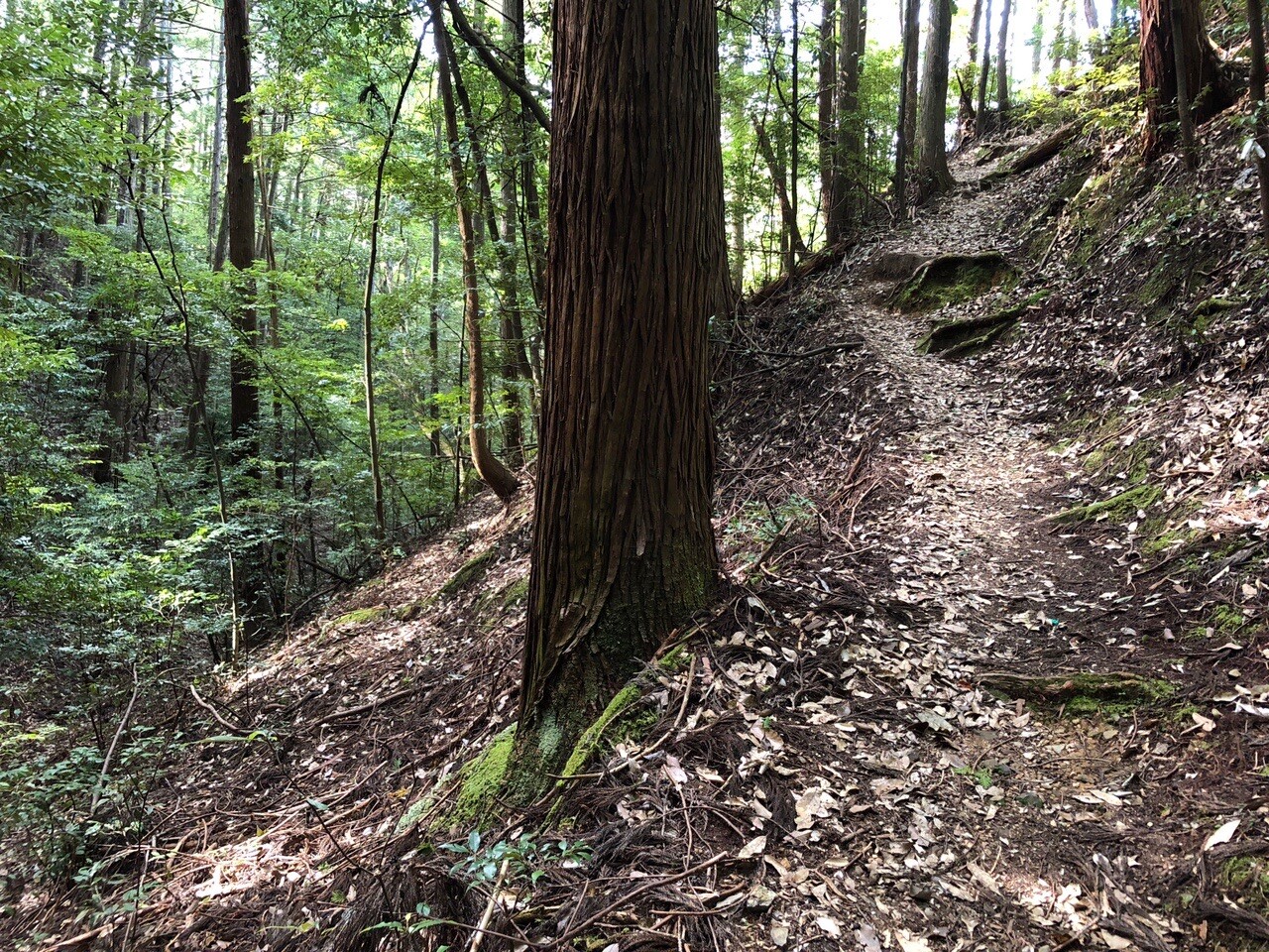 K.KAIさんの投稿したフィールドメモ | YAMAP / ヤマップ