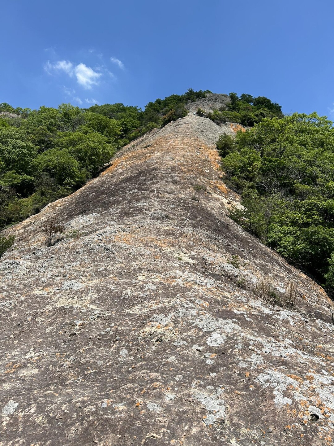 新緑の小野アルプス / umi chanさんの小野アルプス（紅山・惣山）の活動データ | YAMAP / ヤマップ