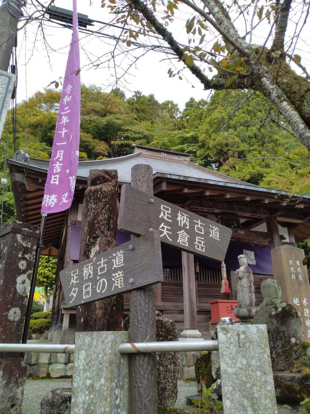 秋を探しに足柄峠〜御殿場方面まで20kほ... / きょんさんのモーメント | YAMAP / ヤマップ