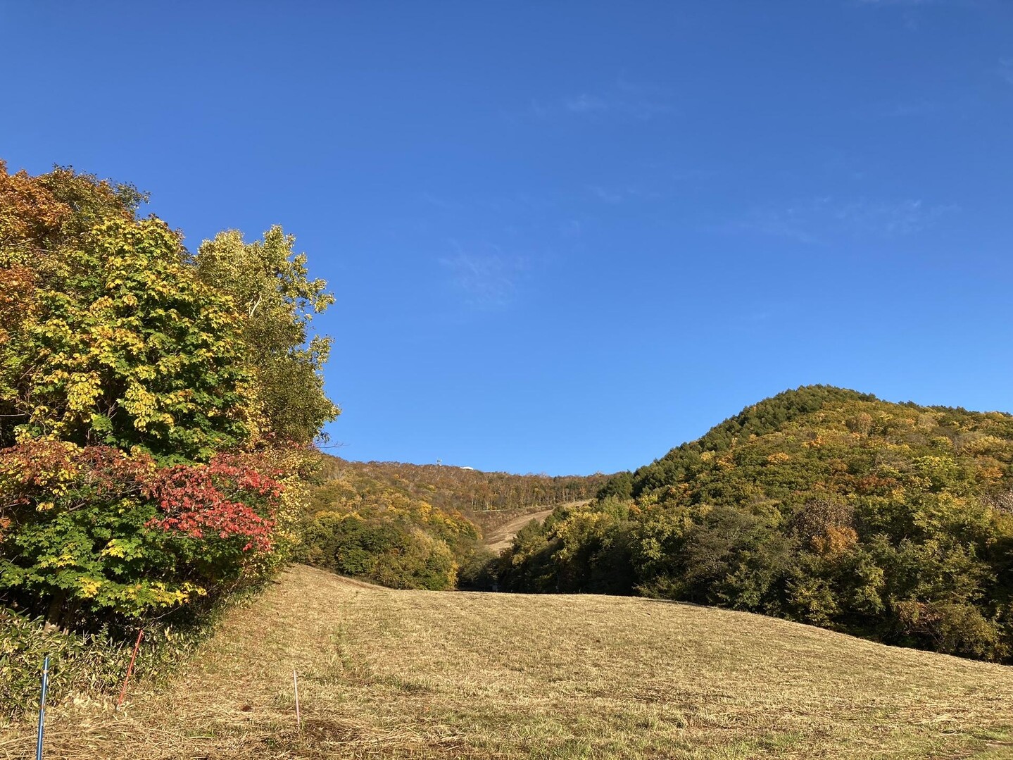 朝活藻岩山。。今日もいい朝活🎶😊 / 2525bbさんの藻岩山の活動データ | YAMAP / ヤマップ