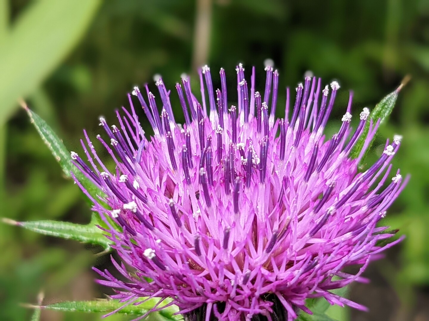 月に一度くらいアップしとこ…っと。 梅雨... / toshiさんのモーメント | YAMAP / ヤマップ