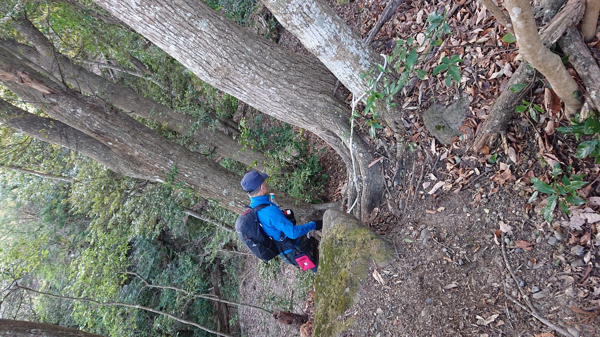 fuu-rinさんの投稿したフィールドメモ | YAMAP / ヤマップ