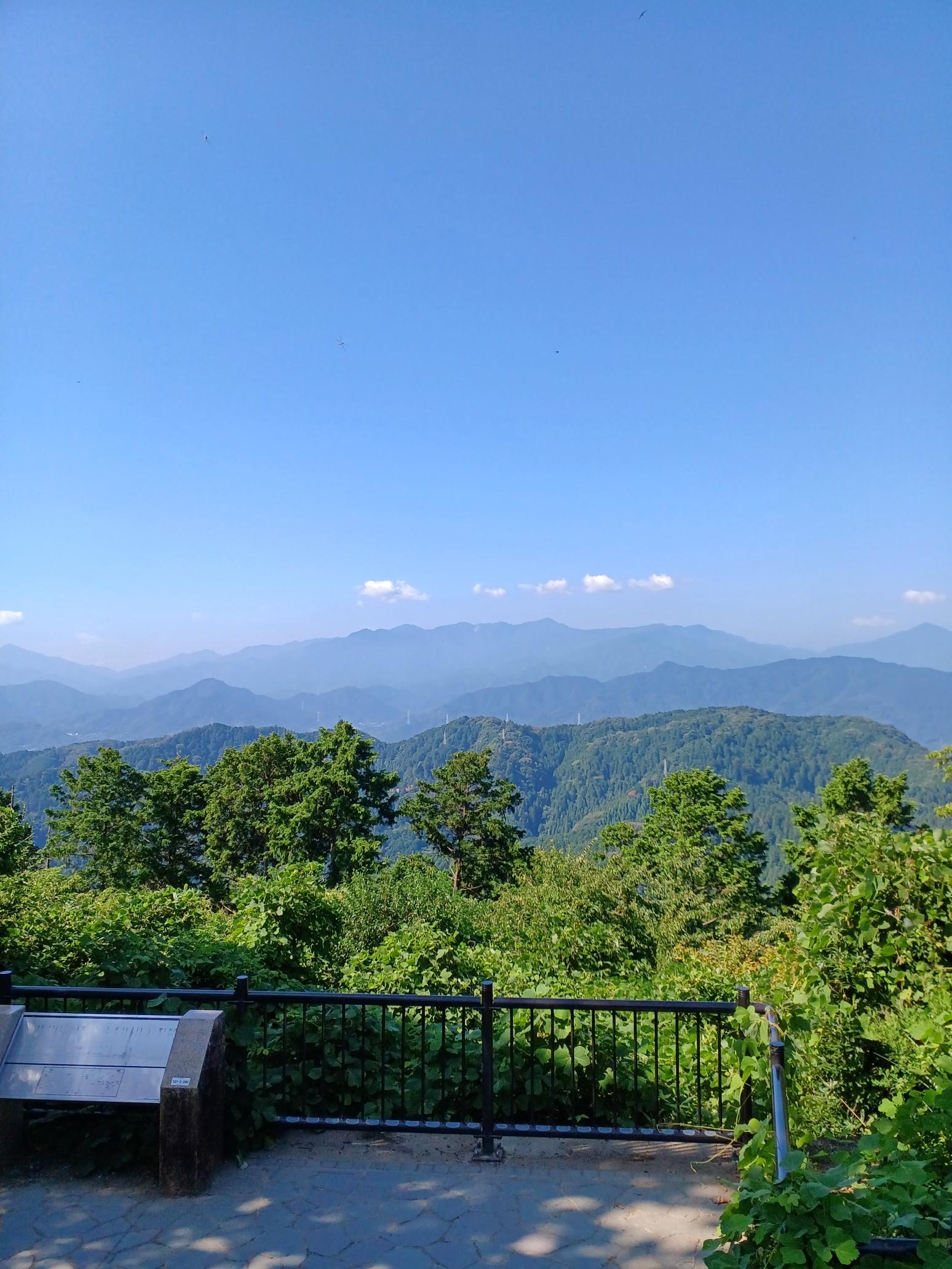 高尾山 デビュー☀ / spesさんの高尾山・陣馬山・景信山の活動データ | YAMAP / ヤマップ