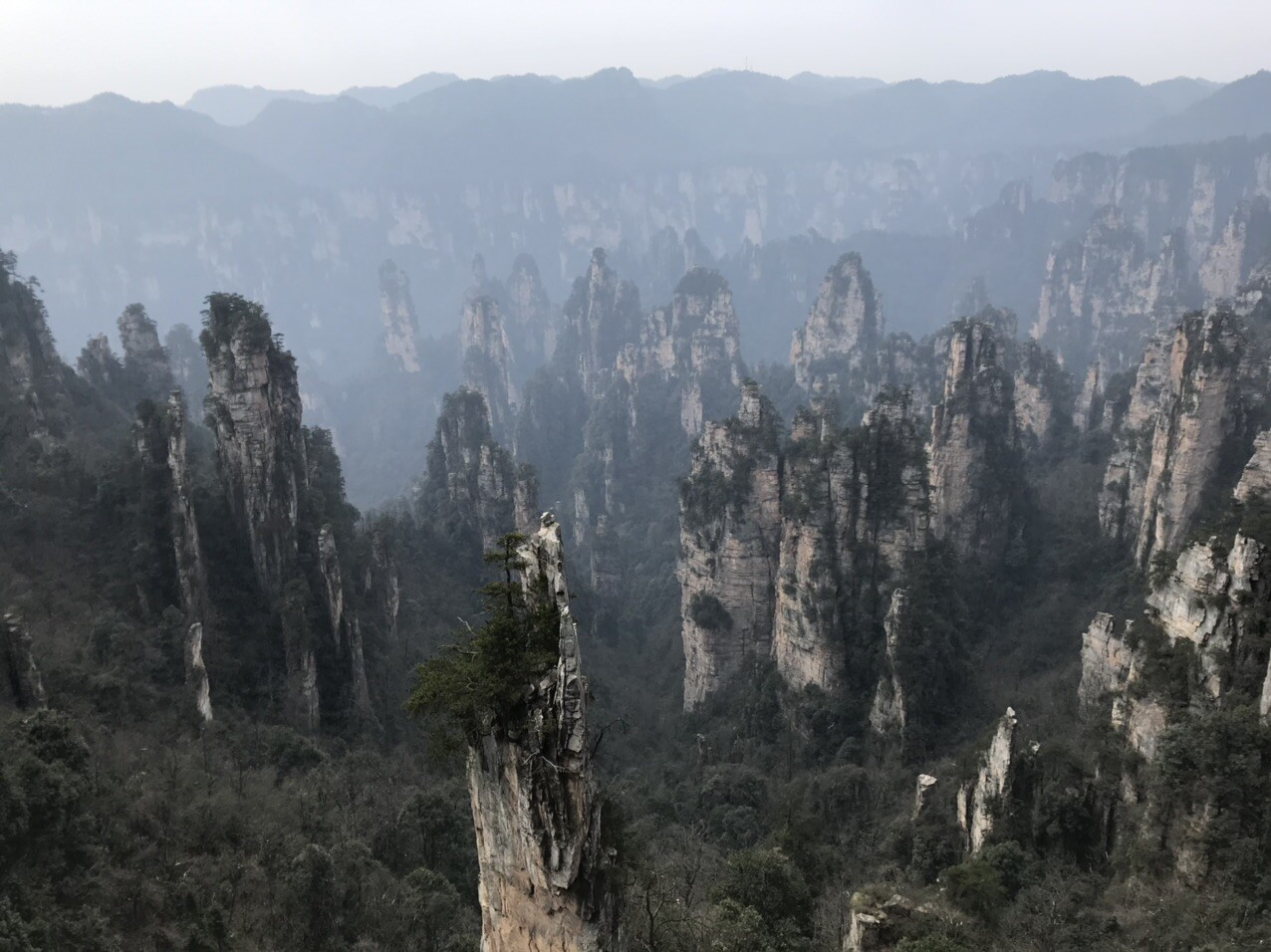 Neoのページ | YAMAP / ヤマップ