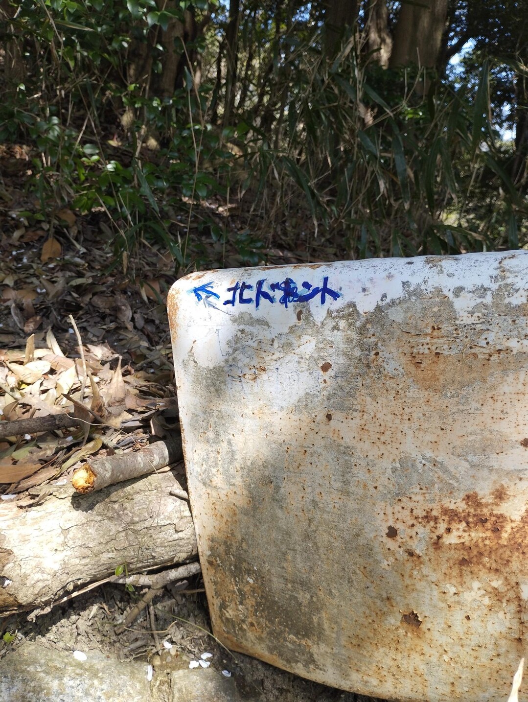 ドントリッジ / fukoさんの六甲山・長峰山・摩耶山の活動データ | YAMAP / ヤマップ