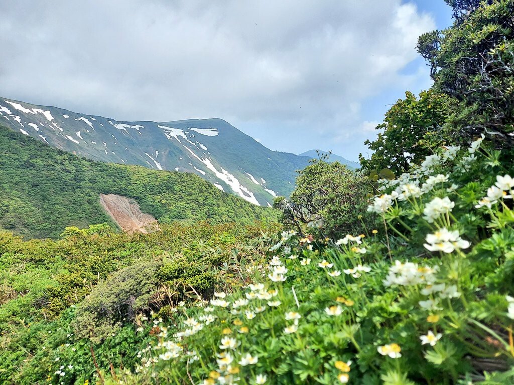 19日 刈田峠から不忘山ピストン 雄大... / hodakaさんのモーメント | YAMAP / ヤマップ