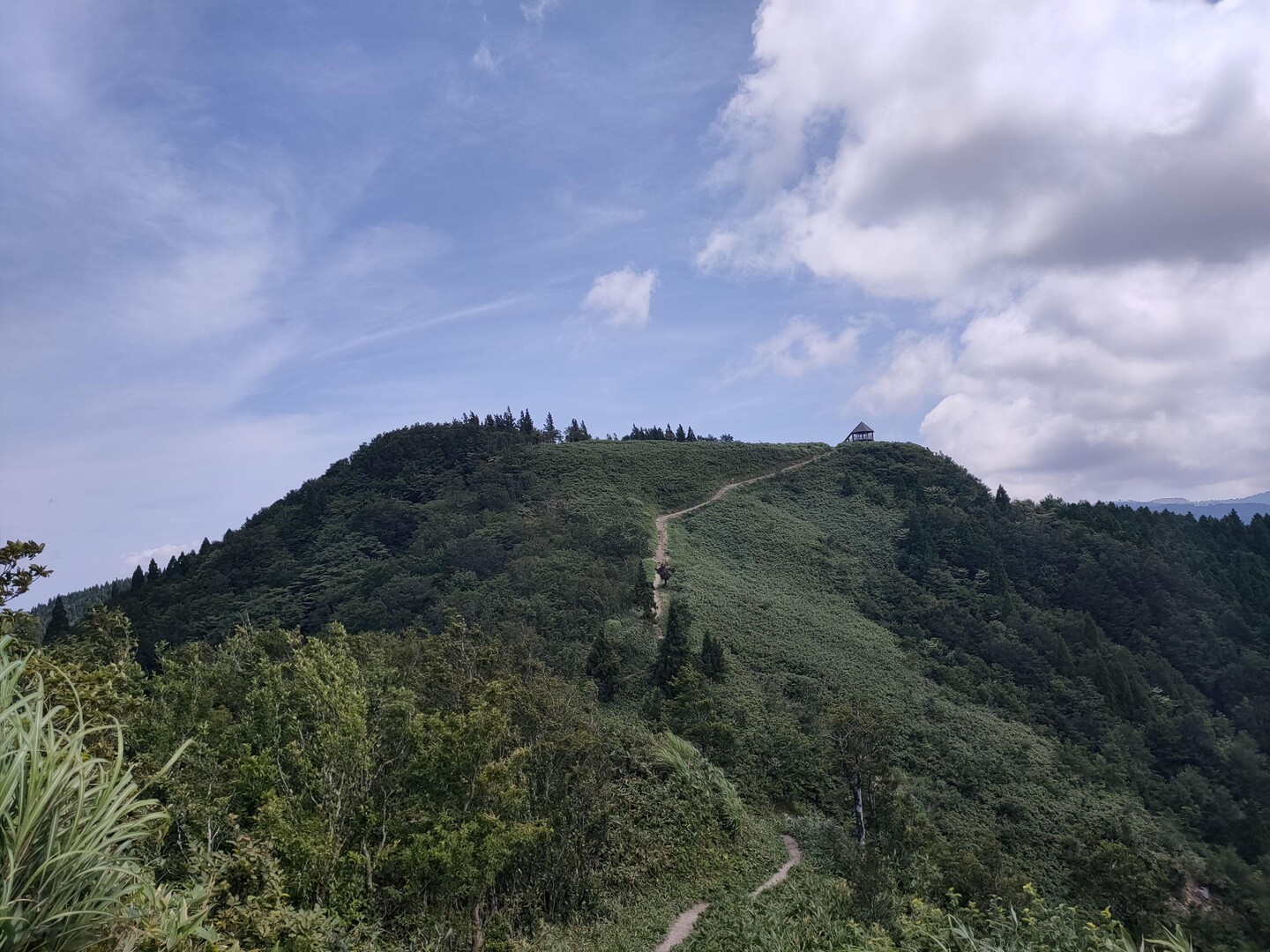 高清水高原・大畝山・御林山・池川山・ブナの谷頭・霧ヶ原・伯州山・丸山 / akgestさんの伯州山・霧ヶ原の活動データ | YAMAP / ヤマップ